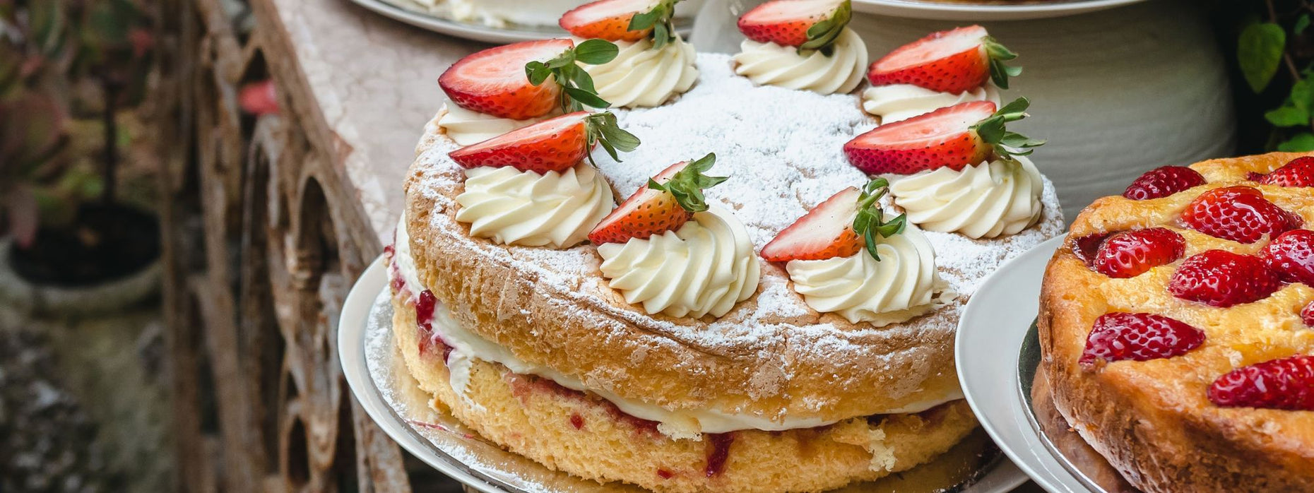 Phillippa's Bakery